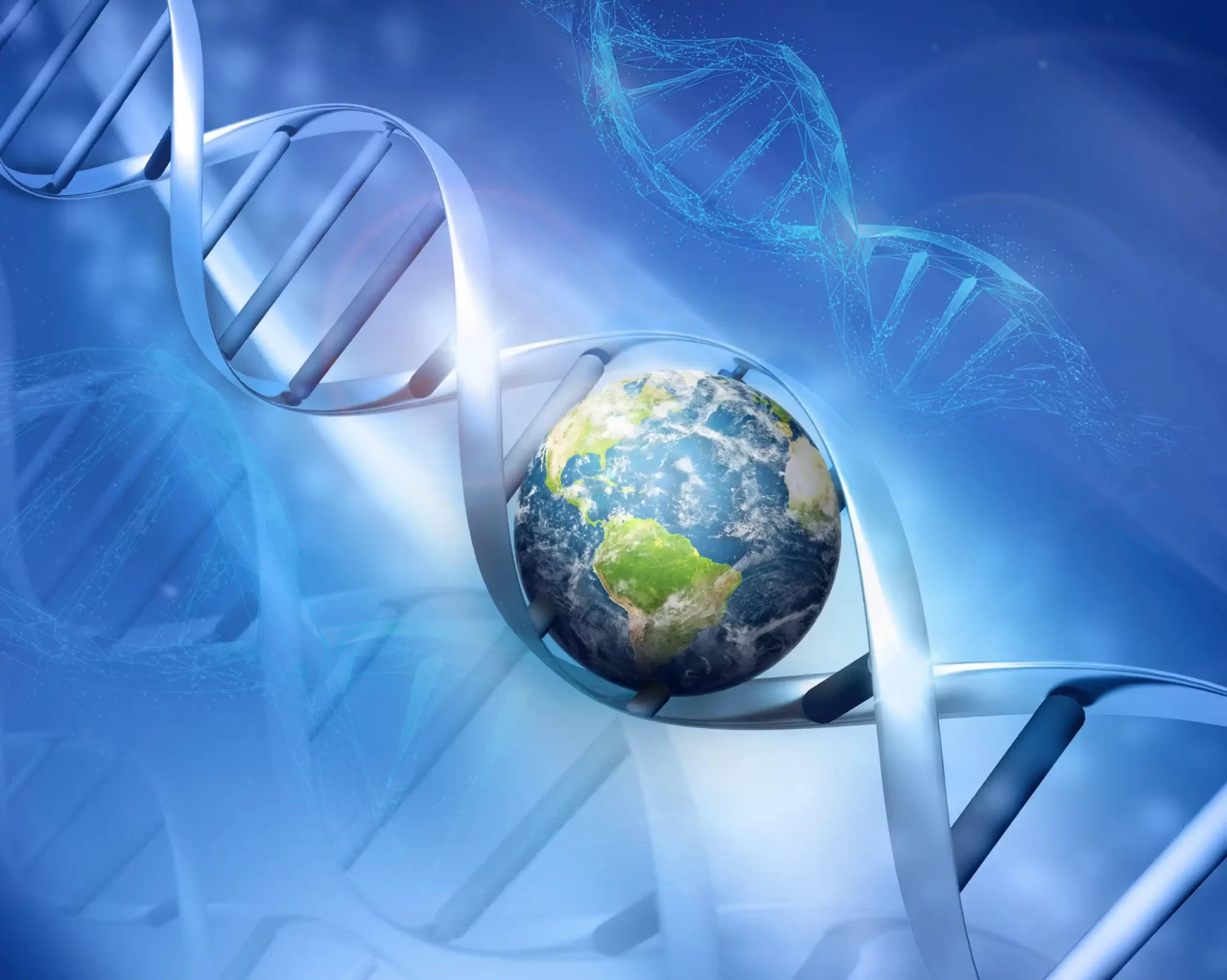 Proventa International | Strategic Partnership